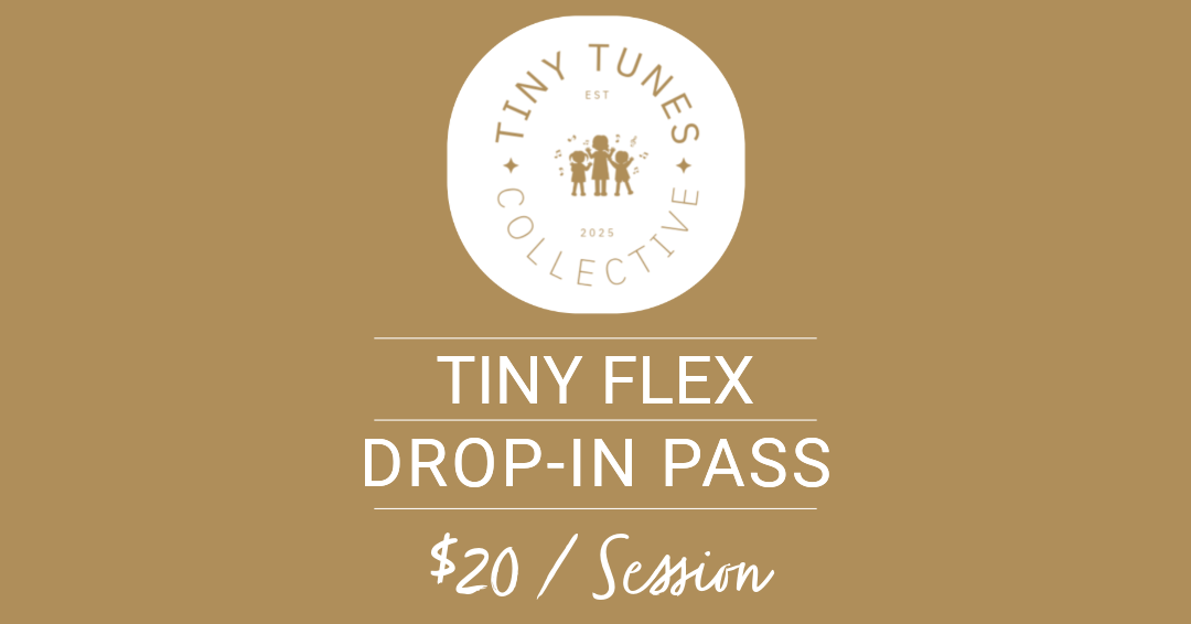 Pricing & Rewards – Tiny Tunes Collective: Baby & Toddler Music